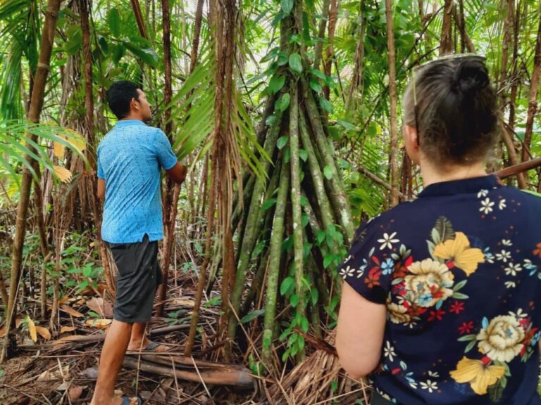 Aprecie o bucolismo da Floresta Amazônica na Ilha do Combu e deguste o ...